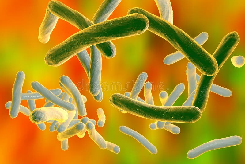 Bacteria Mycobacterium Tuberculosis Stock Illustration - Illustration ...