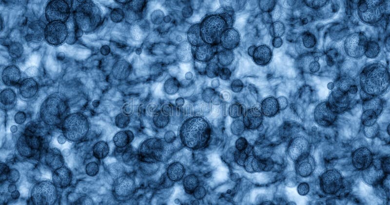 Bacteria Particles, Microscope and Molecule Zoom for Science, Biology ...