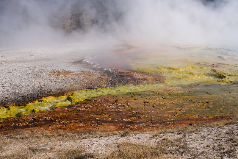 Bacteria pool stock image. Image of yellowstone, basin - 65203733