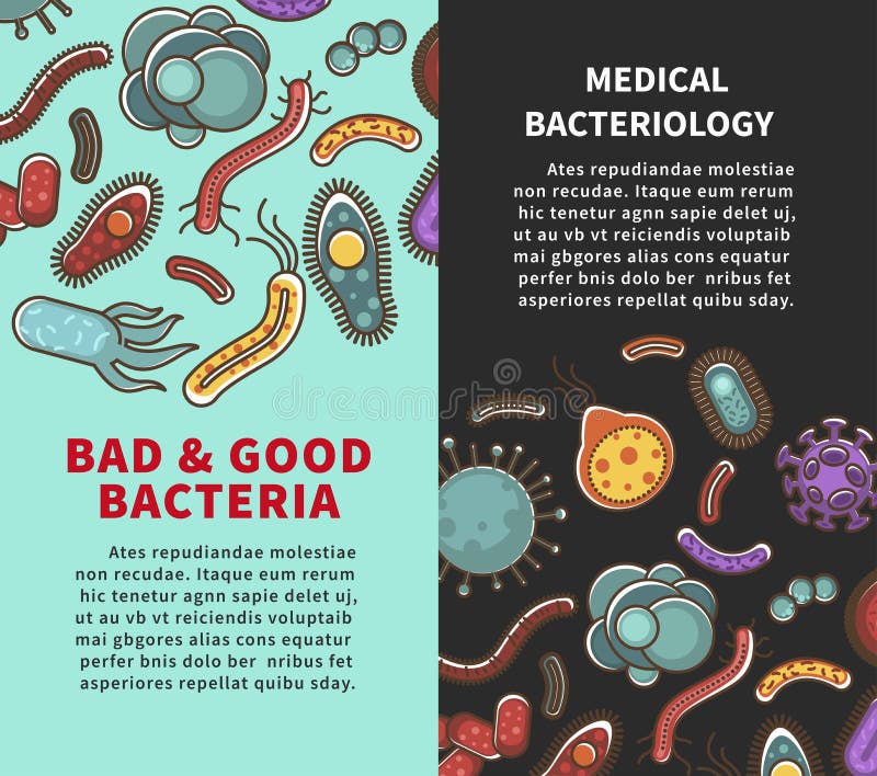 Medical Bacteriology Poster with Harmful Organisms Vector Illustration ...