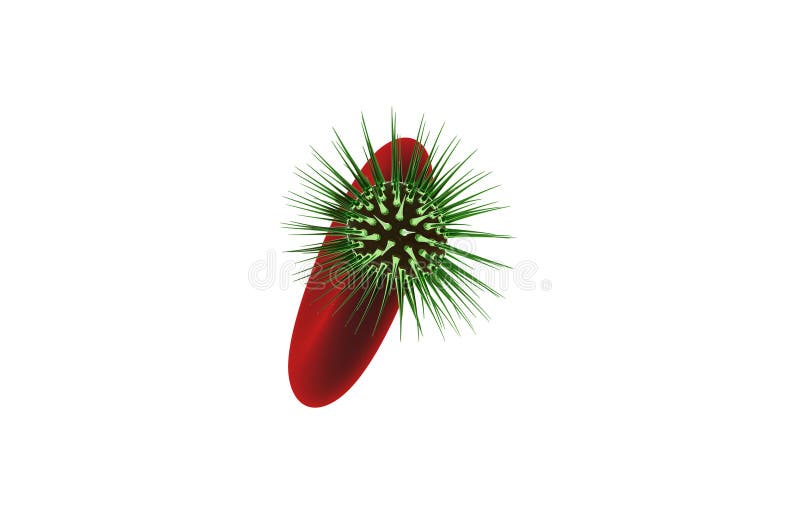 Bacteria with Red Blood Cells. 3D Rendering Stock Illustration ...