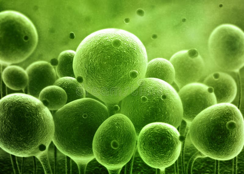 Bacteria SEM concept stock illustration. Illustration of bacteria ...