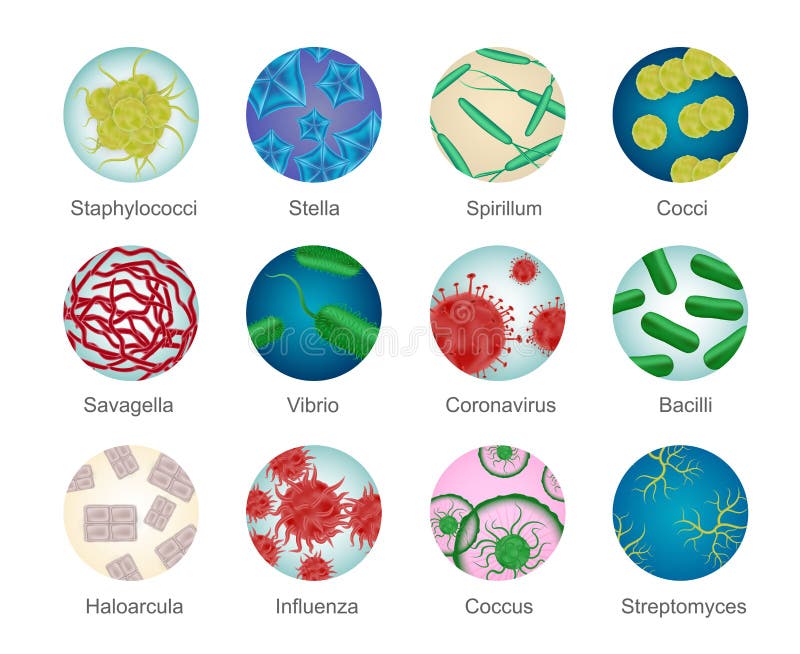 Bacteria Round Icon Set stock vector. Illustration of educational ...