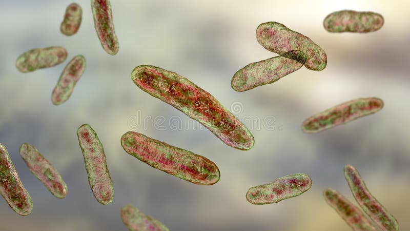 Bacteria Sphingomonas, 3D Illustration Stock Illustration ...