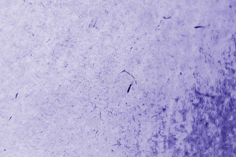 Bacteria and Sticks Under the Microscope, Microorganisms, Chemistry and ...