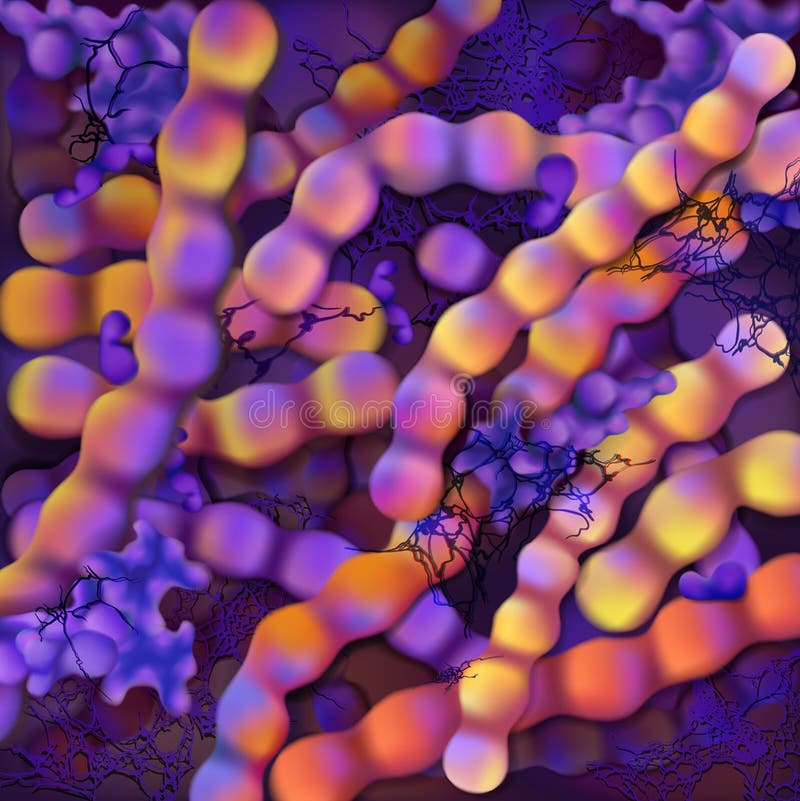 Bacteria Streptococcus Pneumoniae Stock Illustration - Illustration of ...