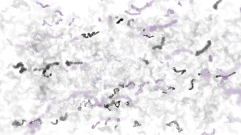 Bacteria Swimming in Pond Water Stock Footage - Video of closeup ...