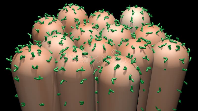 Bacteria on Toothbrush. Extreme Magnification . View 2. 3d Rendering ...