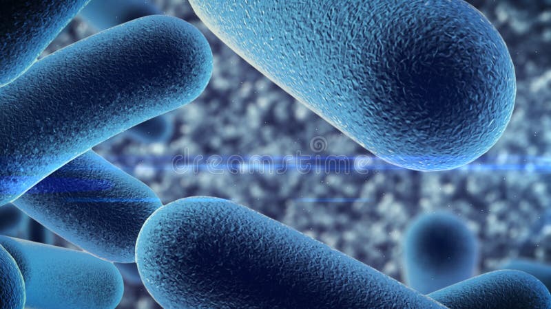 Bacteria under microscope stock illustration. Illustration of organisms ...