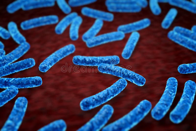 Bacteria under microscope stock illustration. Illustration of element ...