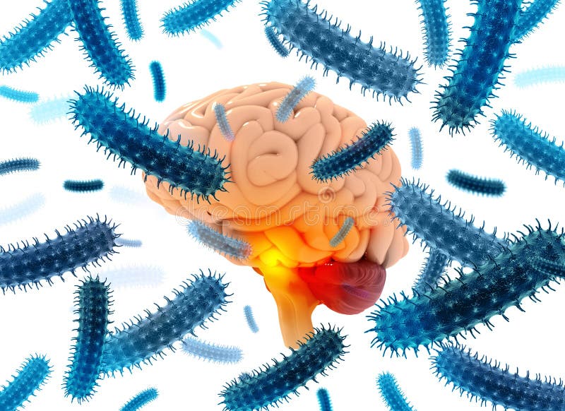 Bacteria or Virus Around the Human Brain Stock Illustration ...