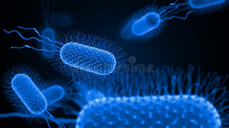 Bacteria or Virus Under Microscope Stock Illustration - Illustration of ...