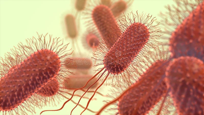 Bacteria or Virus Under Microscope Stock Illustration - Illustration of ...