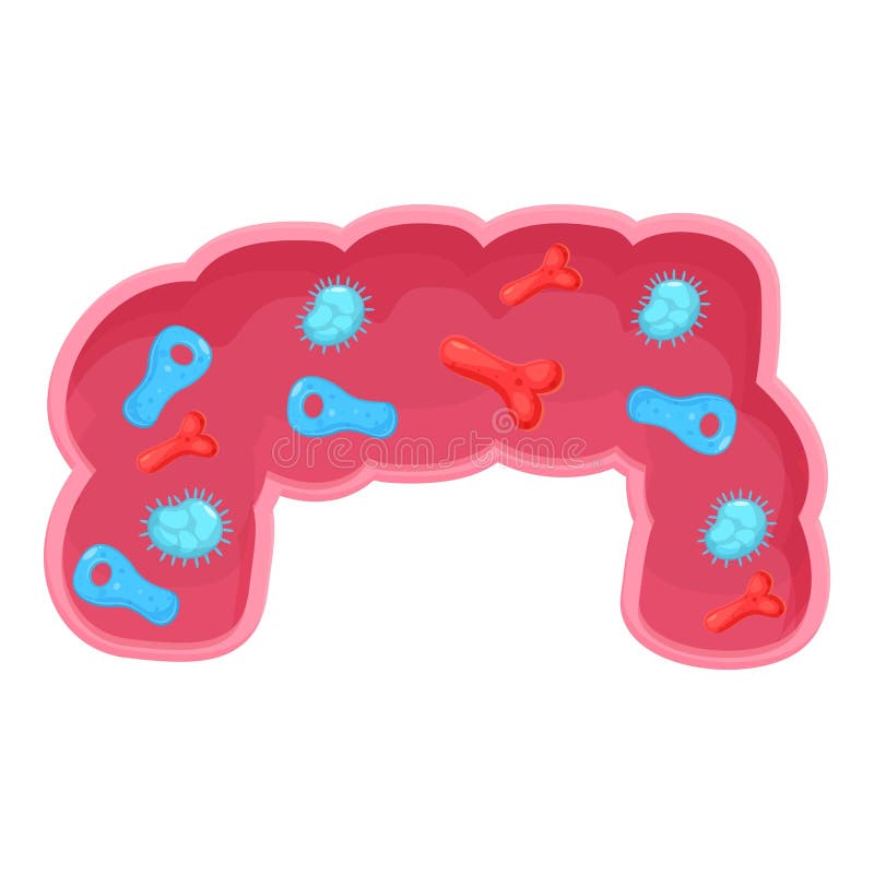 Bacteria and Viruses Living in Human Intestine Causing Inflammation ...