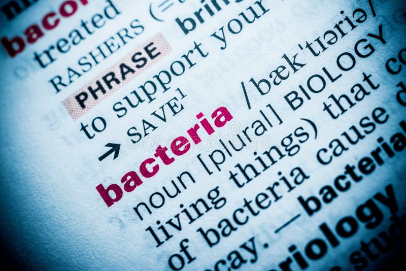 Bacteria Word Definition stock image. Image of background - 37895517 Bacteria Word Definition stock image. Image of background - 37895517