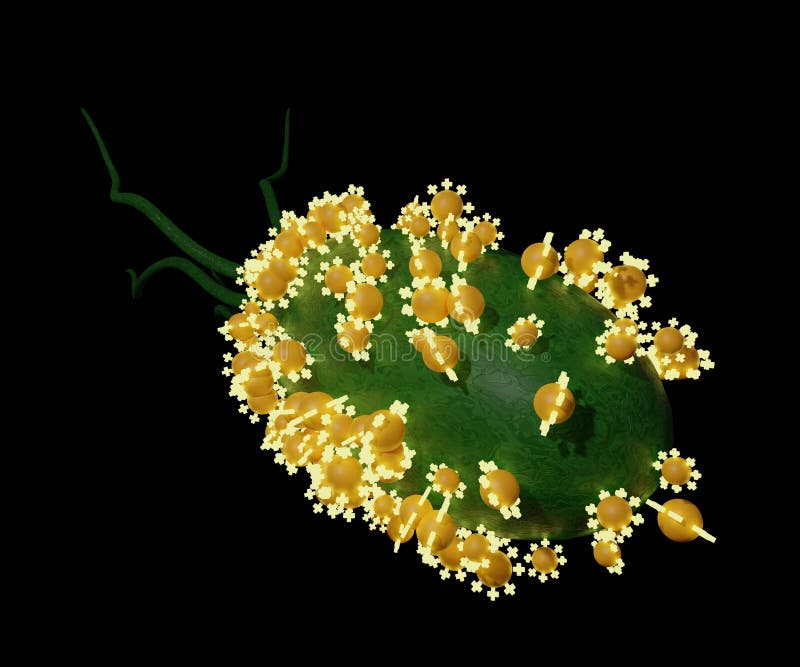 Electrostatic Interactions Stock Illustrations – 17 Electrostatic ...