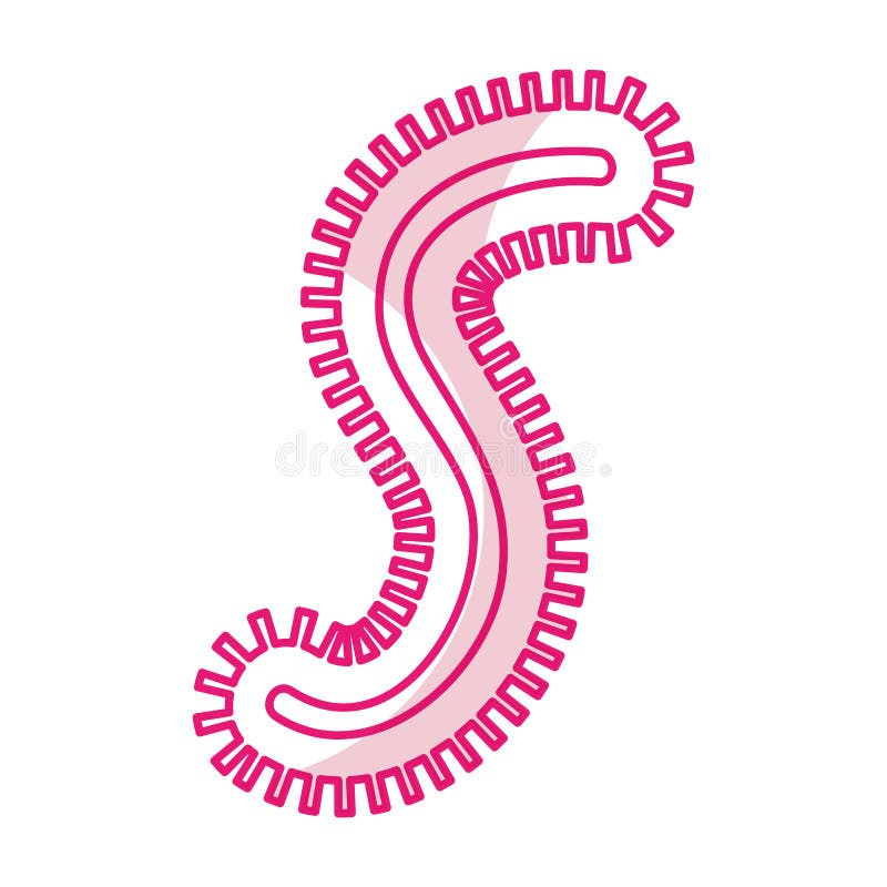 Bacterial Cell Structure Icon Stock Vector - Illustration of microbe ...