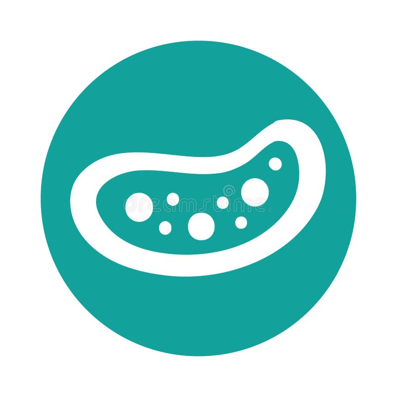 Bacterial Cell Structure Icon Stock Vector - Illustration of germs ...