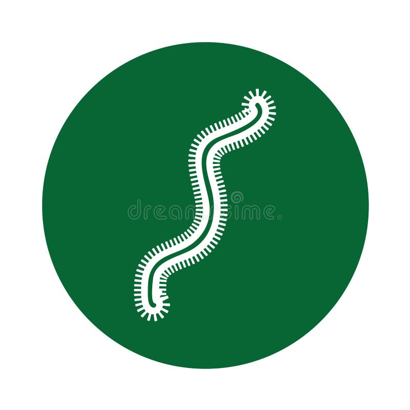 Bacterial Cell Structure Icon Stock Vector - Illustration of isolated ...