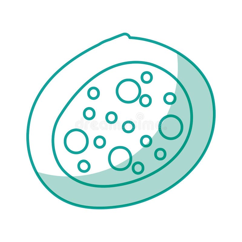 Bacterial Cell Structure Icon Stock Vector - Illustration of ...