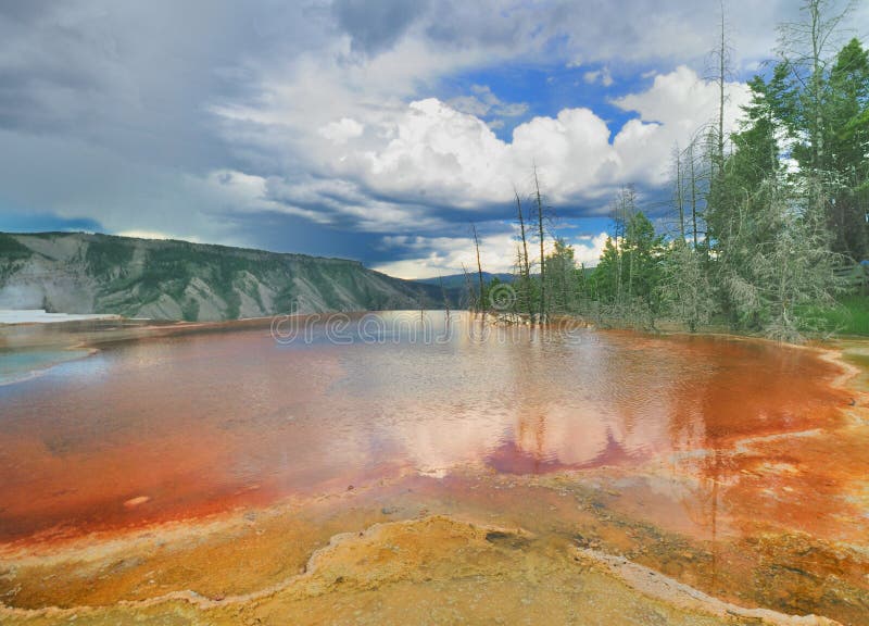 A Bacterial Pool from Mammoth Hot Springs Stock Image - Image of blue ...
