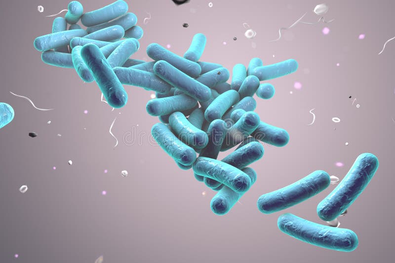 Ejemplo Barra-formado De Las Bacterias Stock de ilustración ...