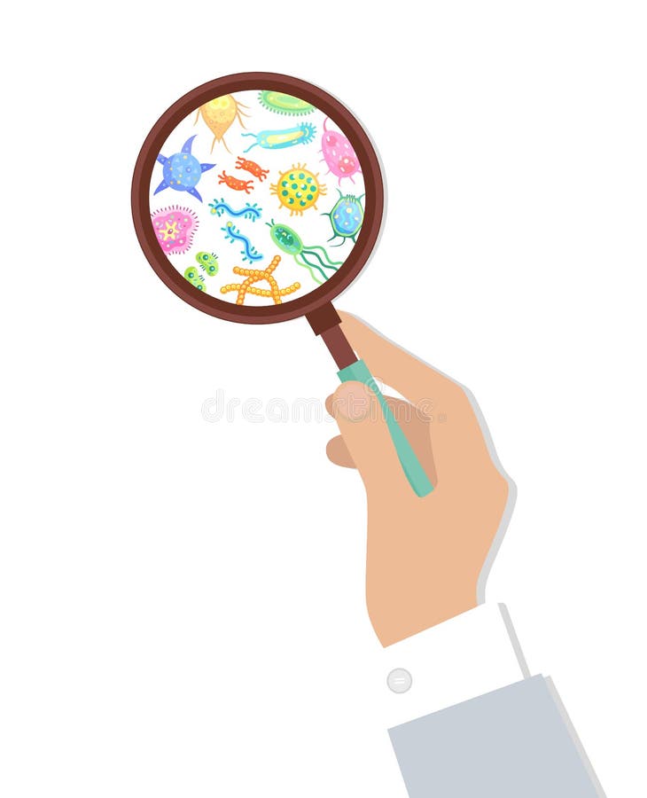 Bacterias En El Ejemplo Del Vector De La Lupa Ilustración del Vector ...