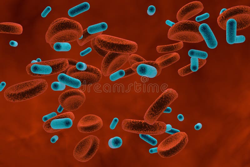 Bacterias En La Sangre, Bacteriemia Stock de ilustración - Ilustración ...
