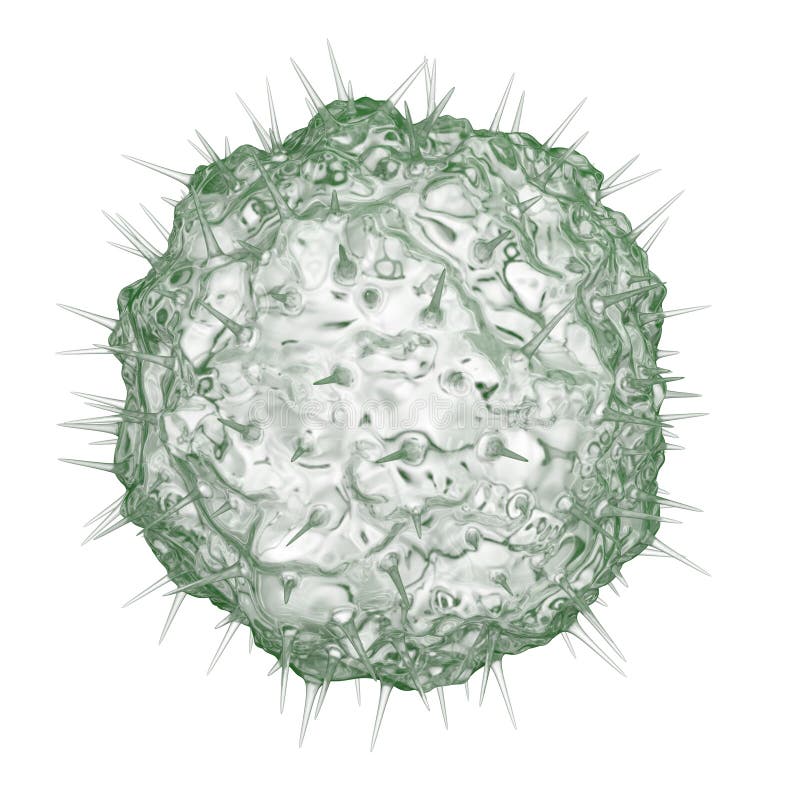 Vector Redondo Del Modelo De Las Bacterias Ilustración del Vector ...