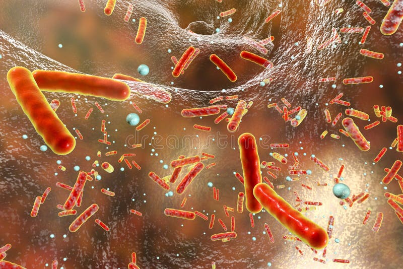 Bacterias Resistentes De Multidrug Dentro De Un Biofilm Stock de ...