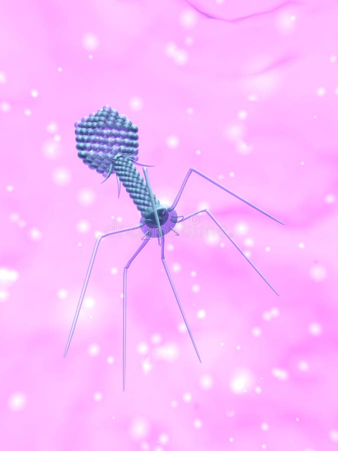 Bacteriophage stock illustration. Illustration of micrograph - 5498920