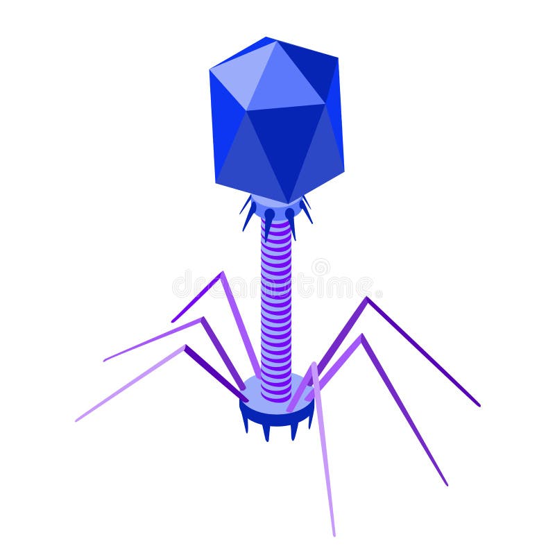 Bacteriophage Isometric Illustration Stock Vector - Illustration of ...