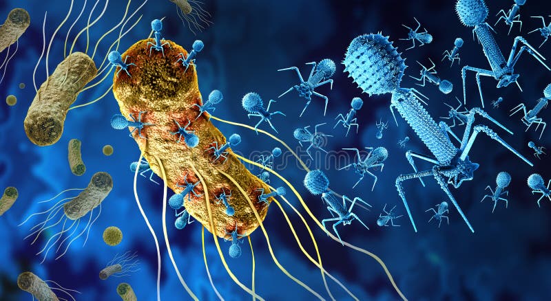 Bacteriophage and Phage Virus Attacking Bacteria Stock Illustration ...