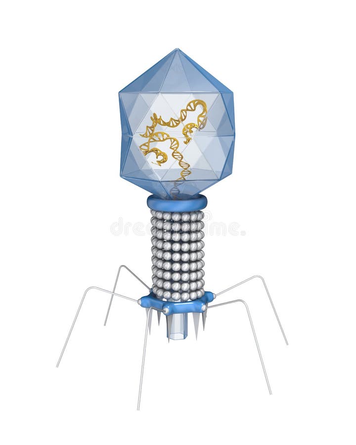 Bacteriophage stock illustration. Illustration of background - 63746780
