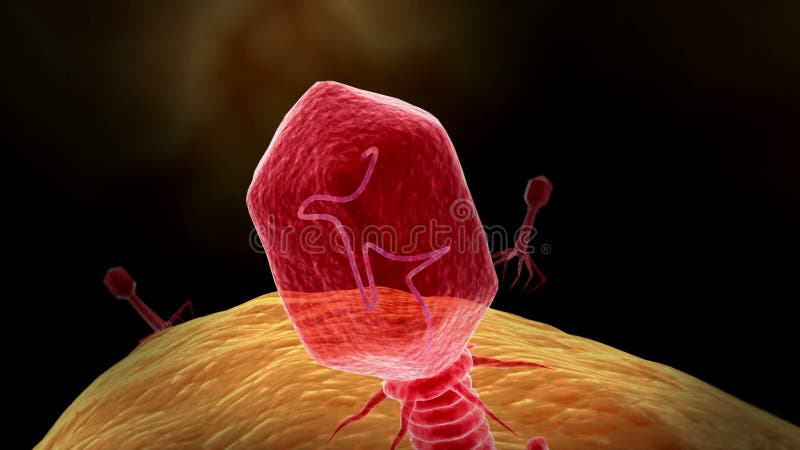 A Bacteriophage Virus Killing Bacteria Stock Footage - Video of genome ...