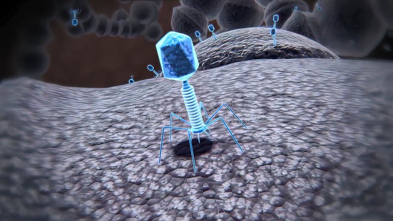 A Bacteriophage Virus Killing Bacteria by Injecting DNA To Replicate ...