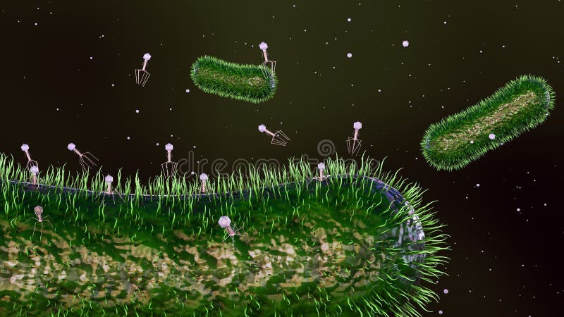 Bacteria Cell Destruction 3D Illustration Stock Illustration ...