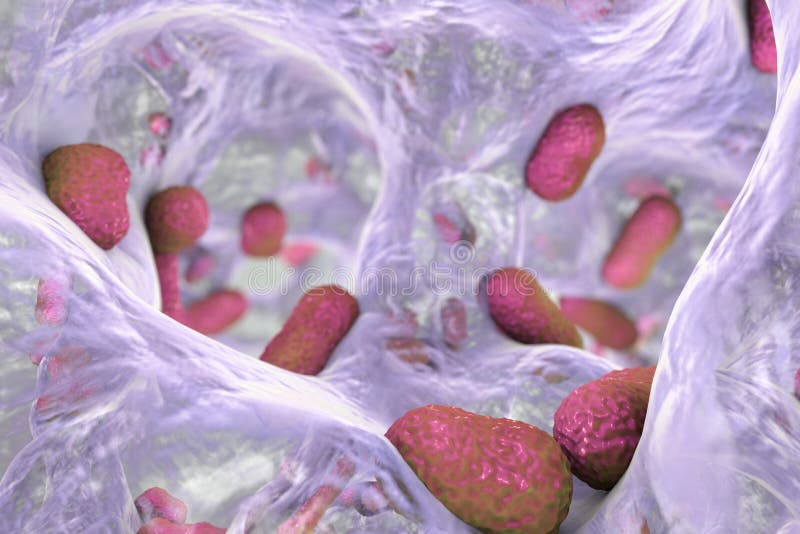 Bacterium Acinetobacter Baumannii Inside Biofilm Stock Illustration ... Bacterium Acinetobacter Baumannii Inside Biofilm Stock Illustration ...