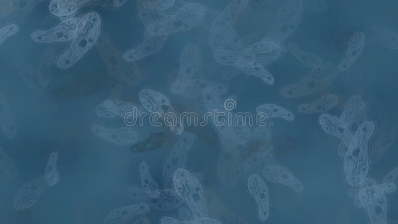 Bacteria in Motion: Microscopic View of Diverse Microorganisms Inside ...