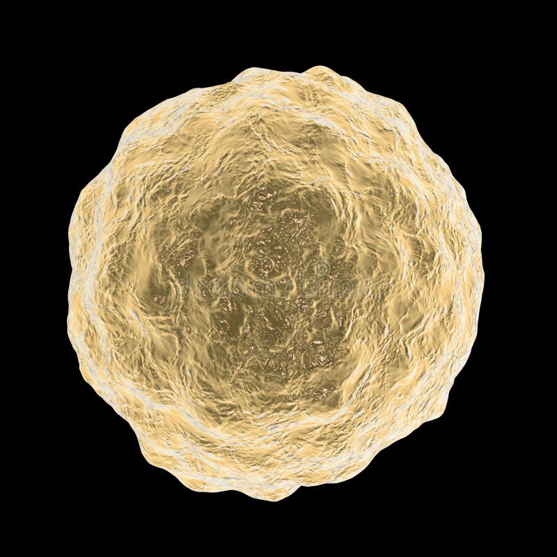 Bacterium Coccus Close-up View Stock Illustration - Illustration of ...