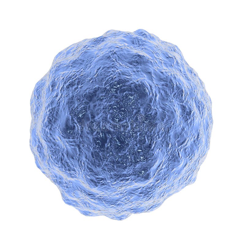 Bacterium Coccus Close-up View Stock Illustration - Illustration of ...