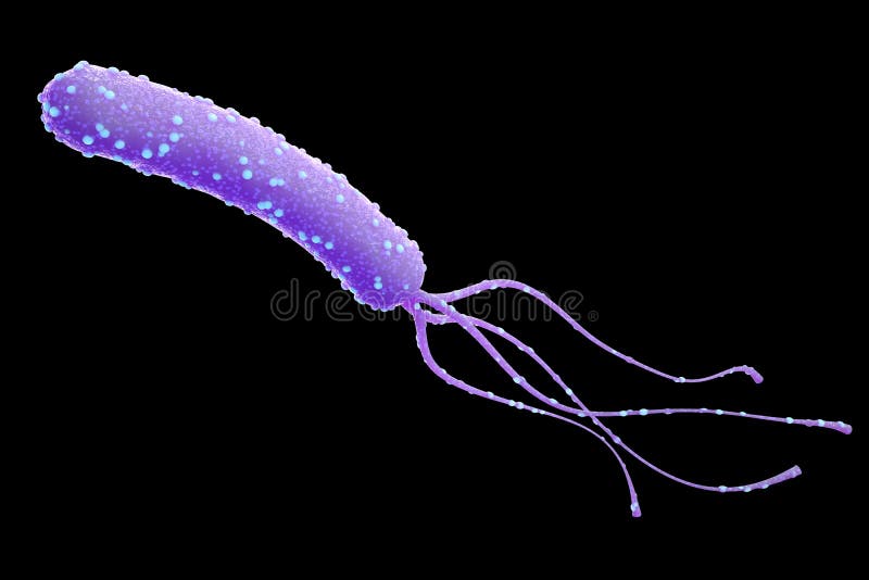Illustration of Helicobacter Pylori Bacteria on an Abstract Color ...