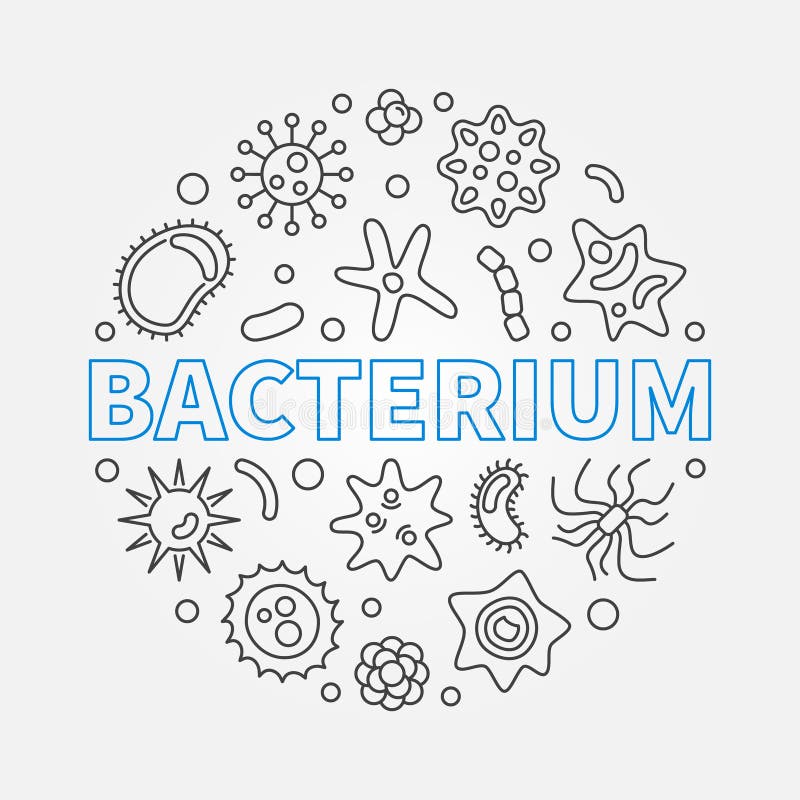 Bacterium Round Vector Microbiology Outline Illustration Stock Vector ...