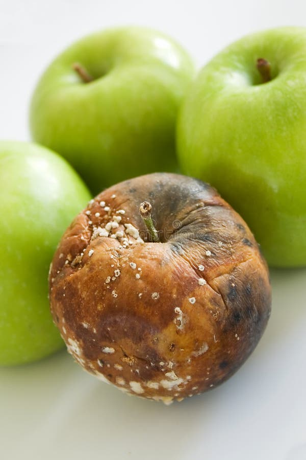 Bad apple stock photo. Image of health, food, nutrition - 95271072
