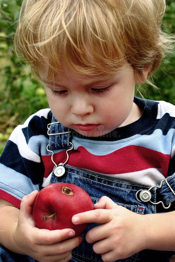 A bad apple stock image. Image of male, harvest, dismay - 267299