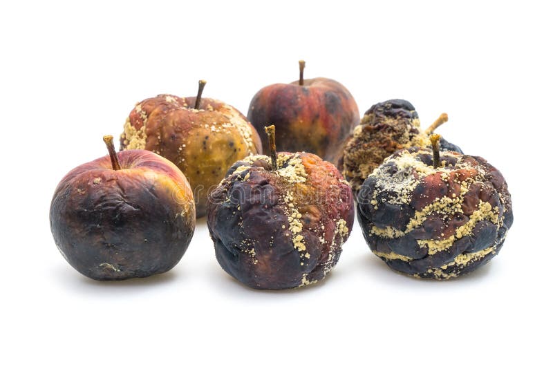 365 Apples Decompose Stock Photos - Free & Royalty-Free Stock Photos ...