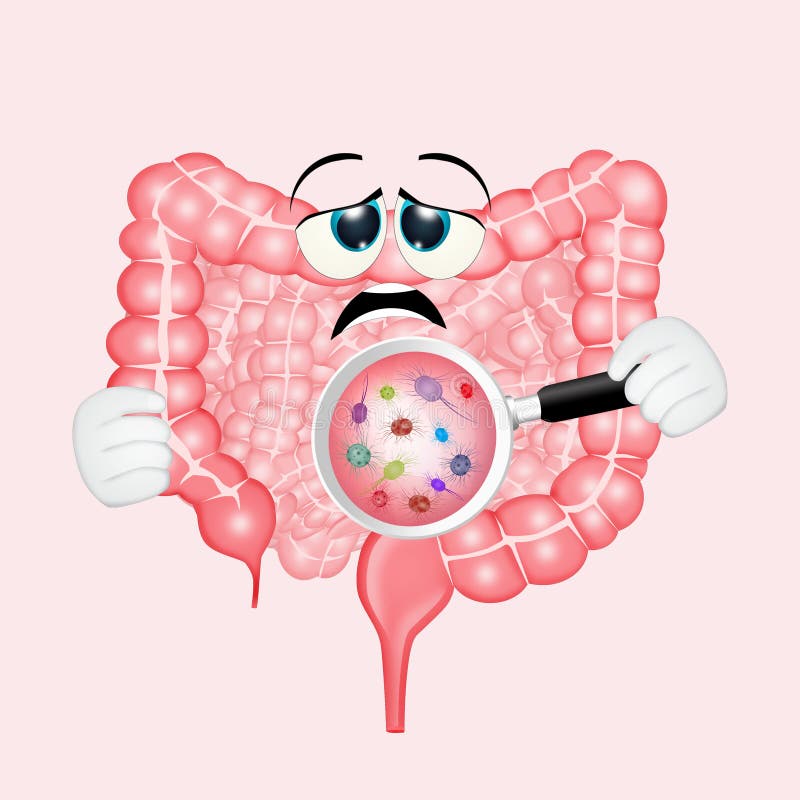 Bad bacteria in the gut stock illustration. Illustration of laxative ...