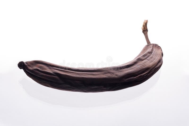 Alaihio - Photographer profile