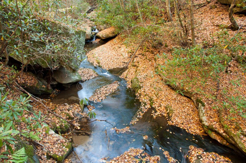 Bad Branch stream stock image. Image of branch, water - 61261285