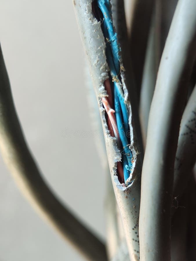 Bad cable bitten by rat stock image. Image of raat, bitten - 221810717